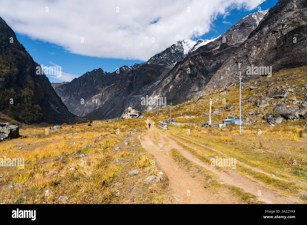 Sunny Trekking Hiking Route of Nepal's Langtang Region in the HImalayas ...
