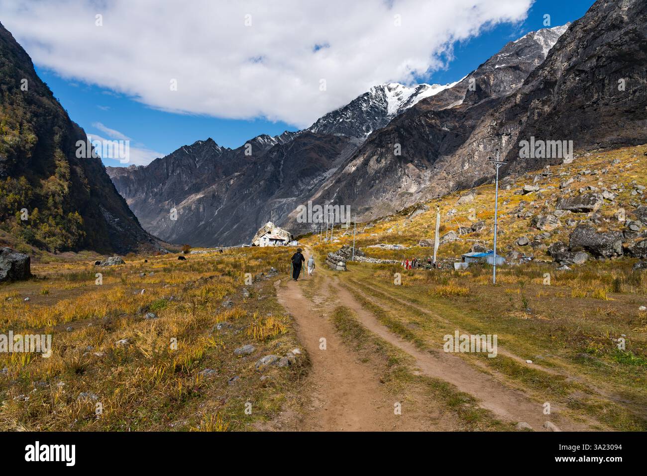 Langtang, Kyanjin, Nepal - October 18 2024 : Langtang Village Trekking Route in Himalayas of ...