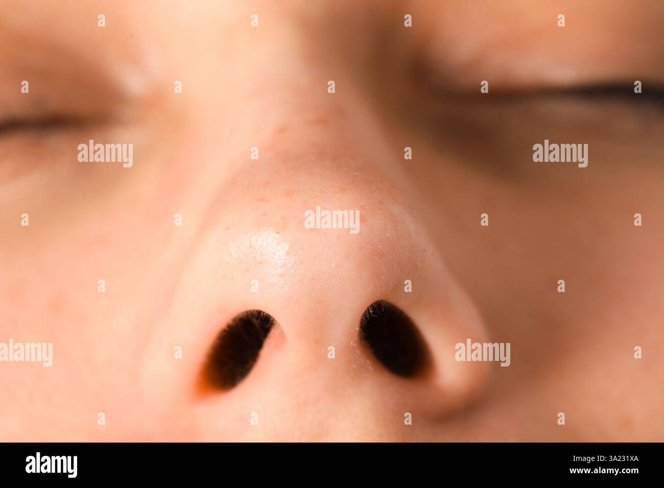 Woman with normal nasal septum, closeup view Stock Photo - Alamy