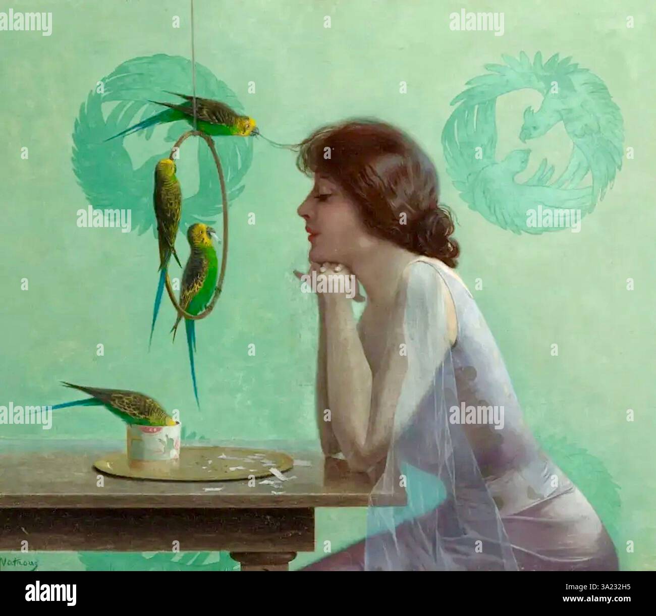 Parakeets exhibition hi-res stock photography and images - Alamy