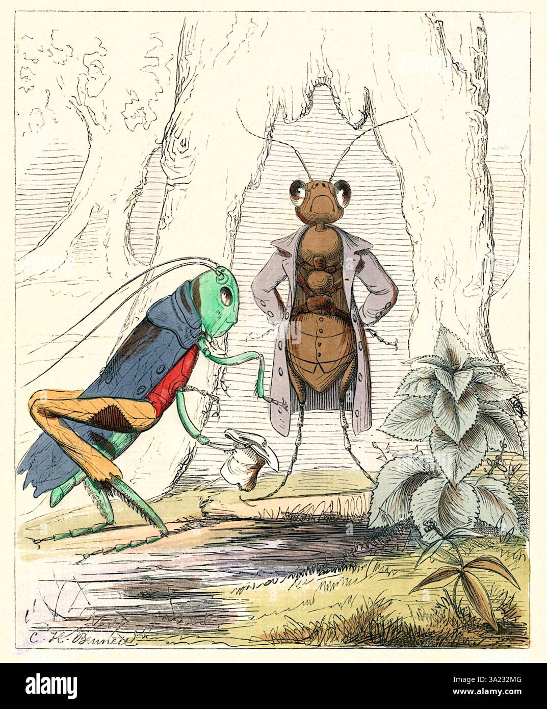 Charles Henry Bennett - The Ant and the Grasshopper - 1857 Stock Photo ...