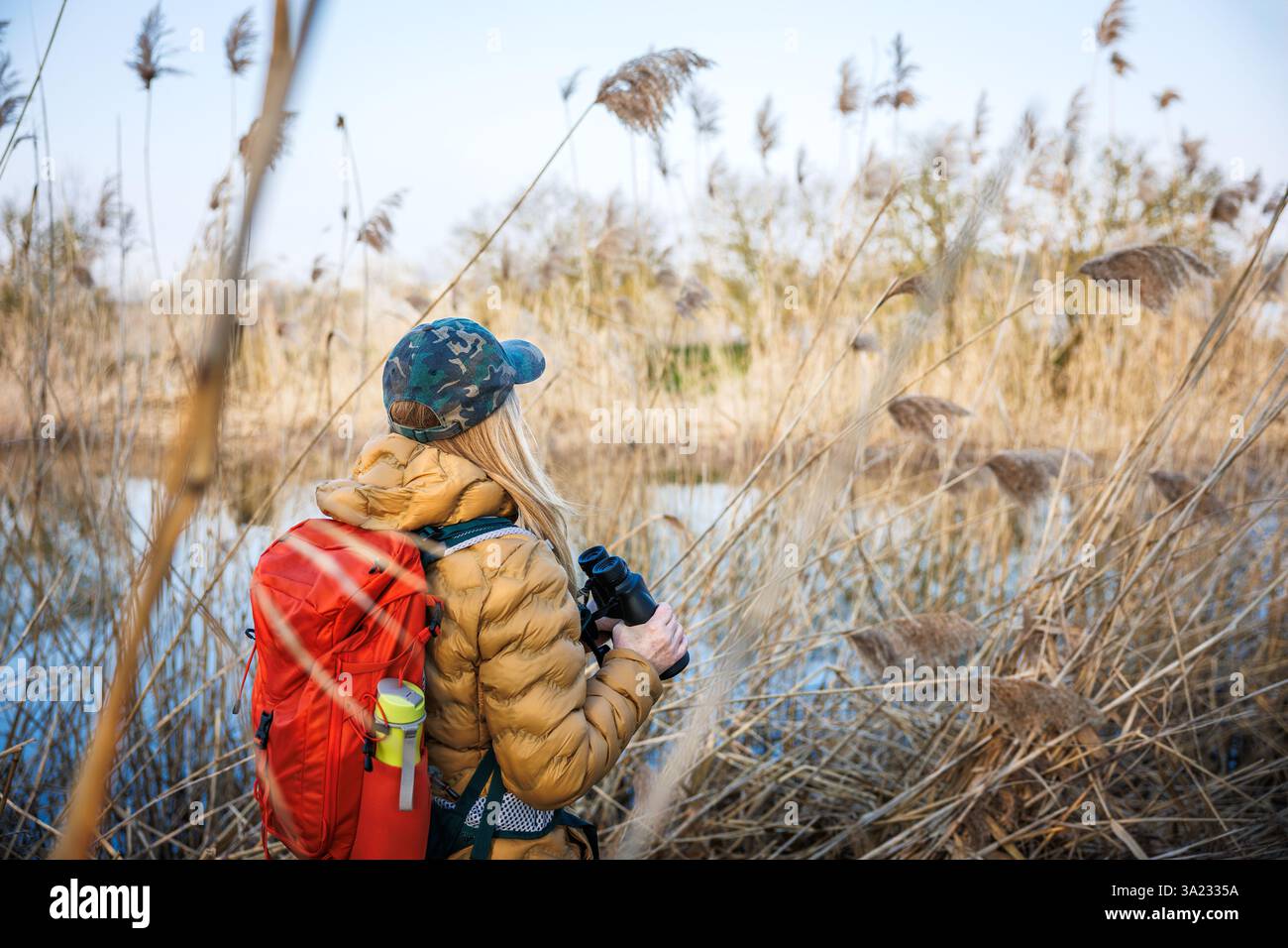 Woman naturalist is watching birds with binoculars. Observation ...