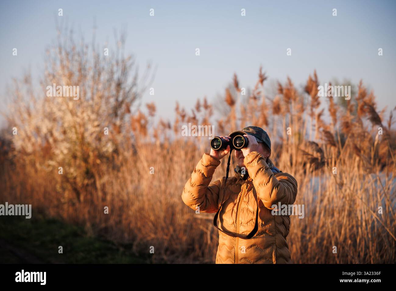 Bird watching. Woman biologist with binoculars observes wildlife ...