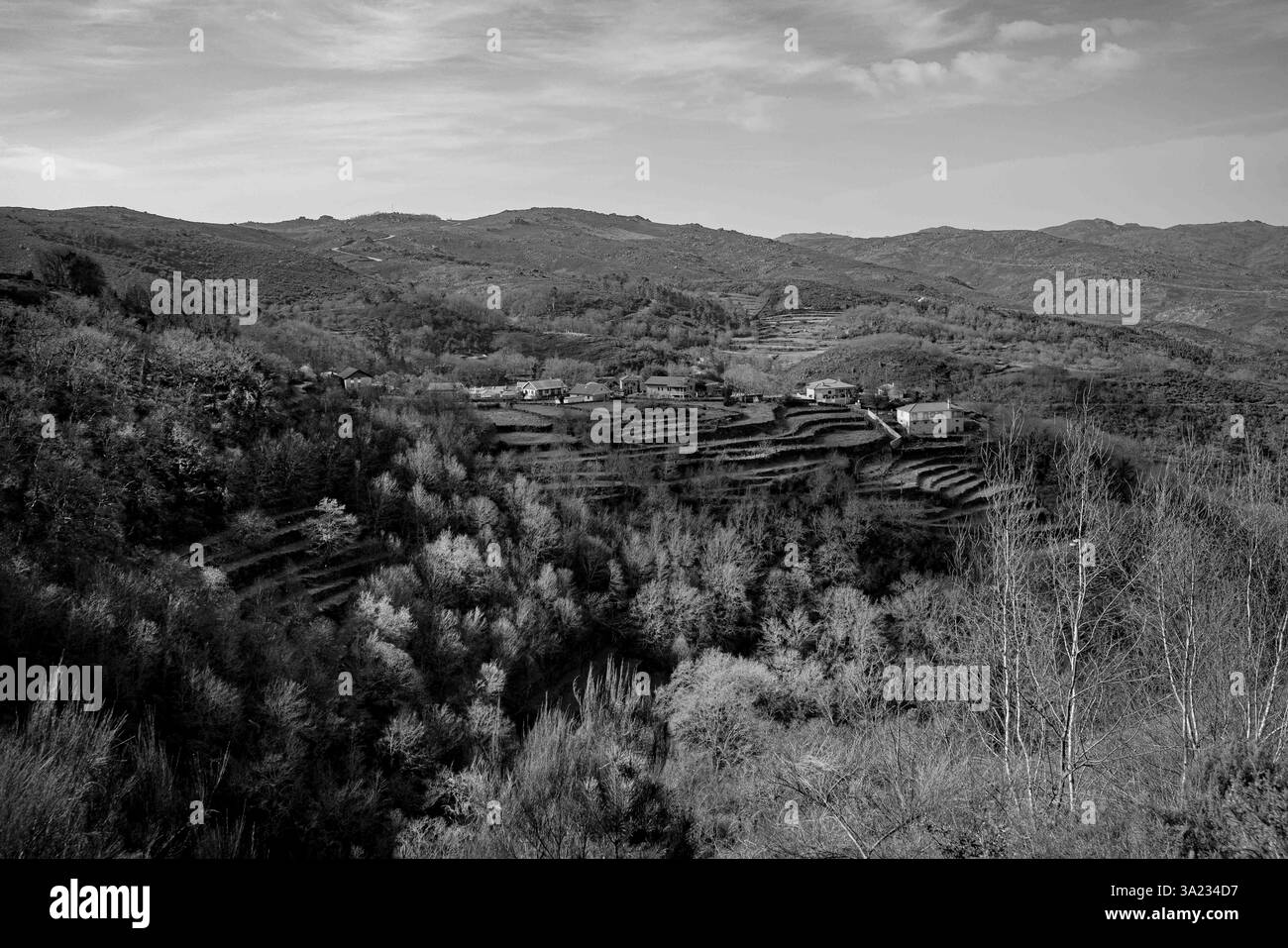 Minho Black and White Stock Photos & Images - Alamy