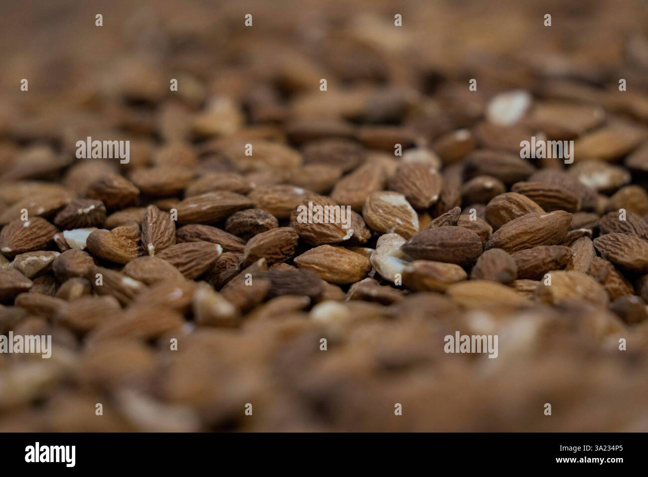 Almonds are seen inside a container before being processed at Stewart ...