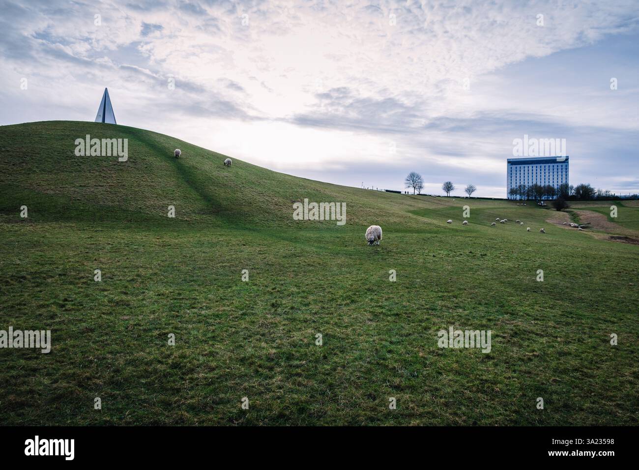 Peaceful serene landscape features sheep hi-res stock photography and ...