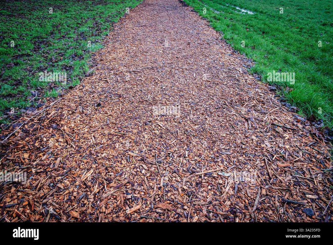 A footpath formed entirely of wet wood chips stretches across the grass ...