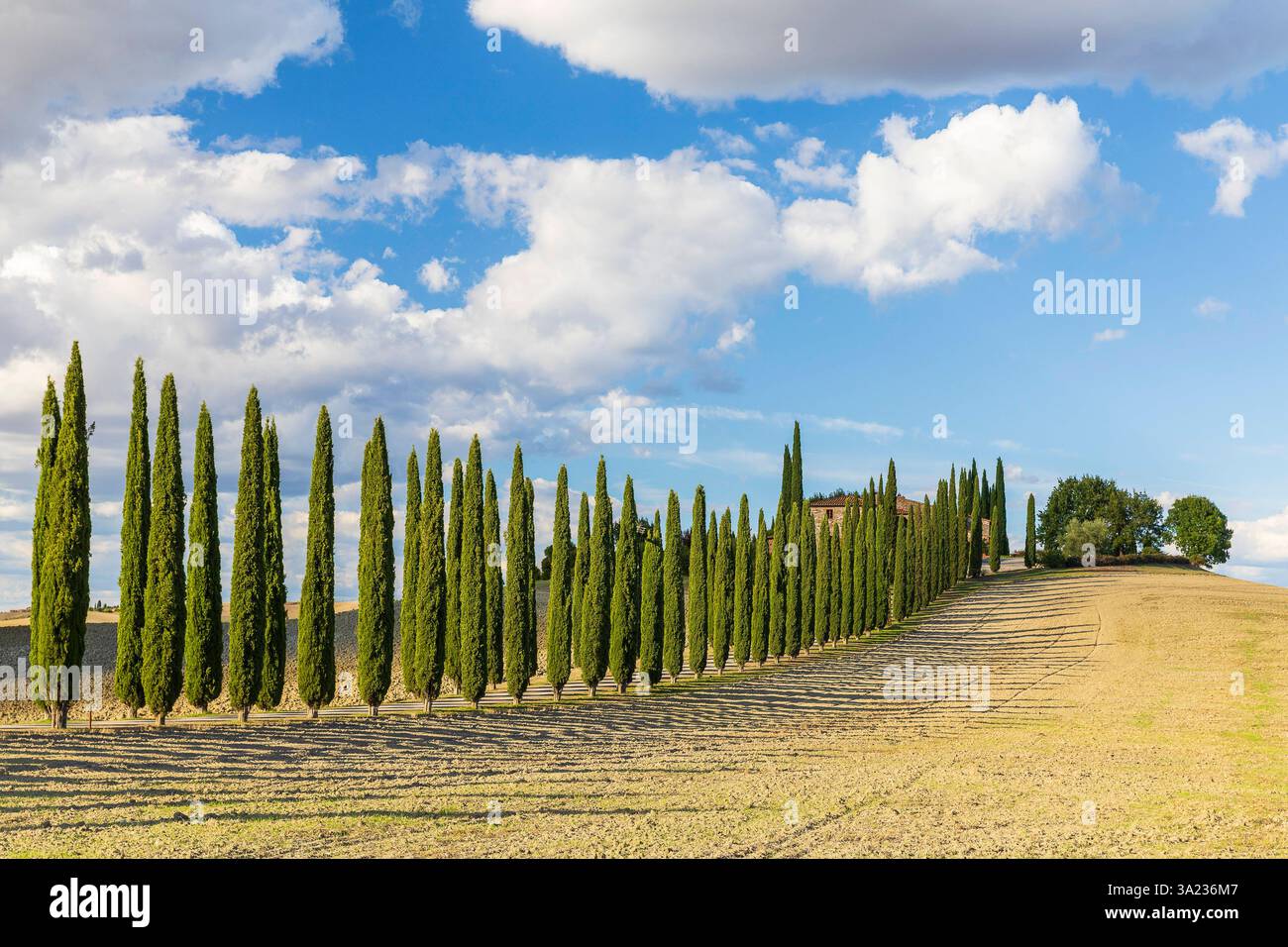 Typisch italienische villa hi-res stock photography and images - Alamy