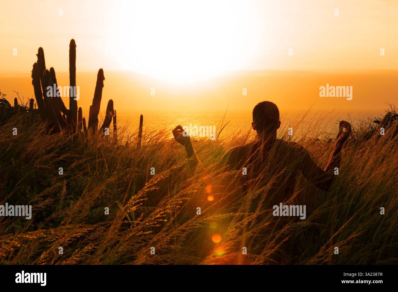 The sunrise meditation Stock Photo - Alamy