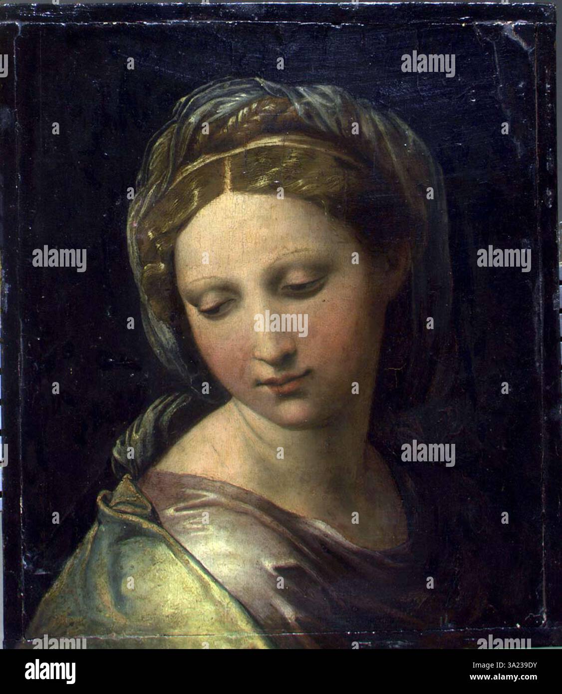 Perla di Modena - oil on panel painting attributed to Raphael Stock ...