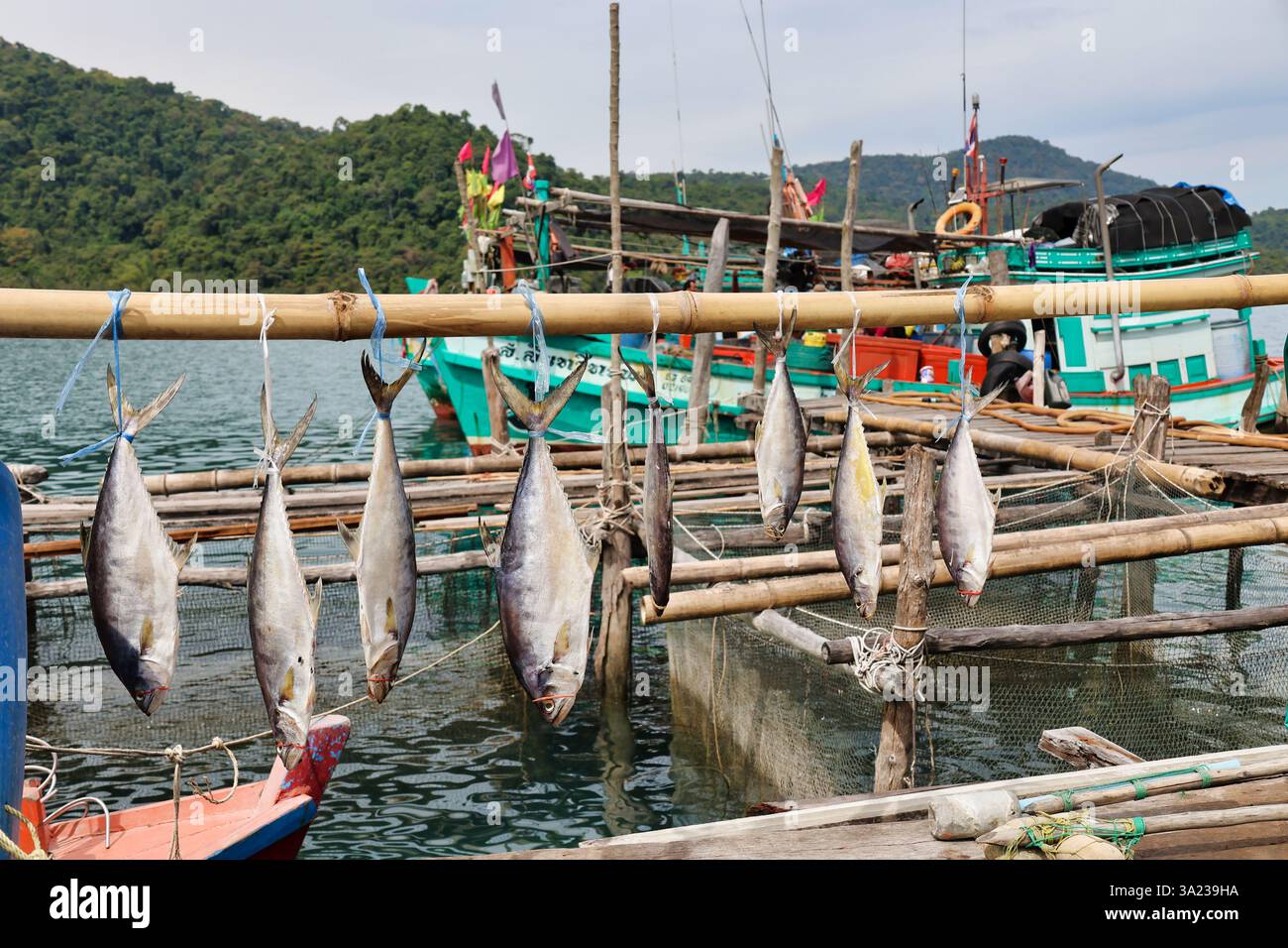 fish hanged on the bamboo wood to sell in floating village on Kho Kood ...