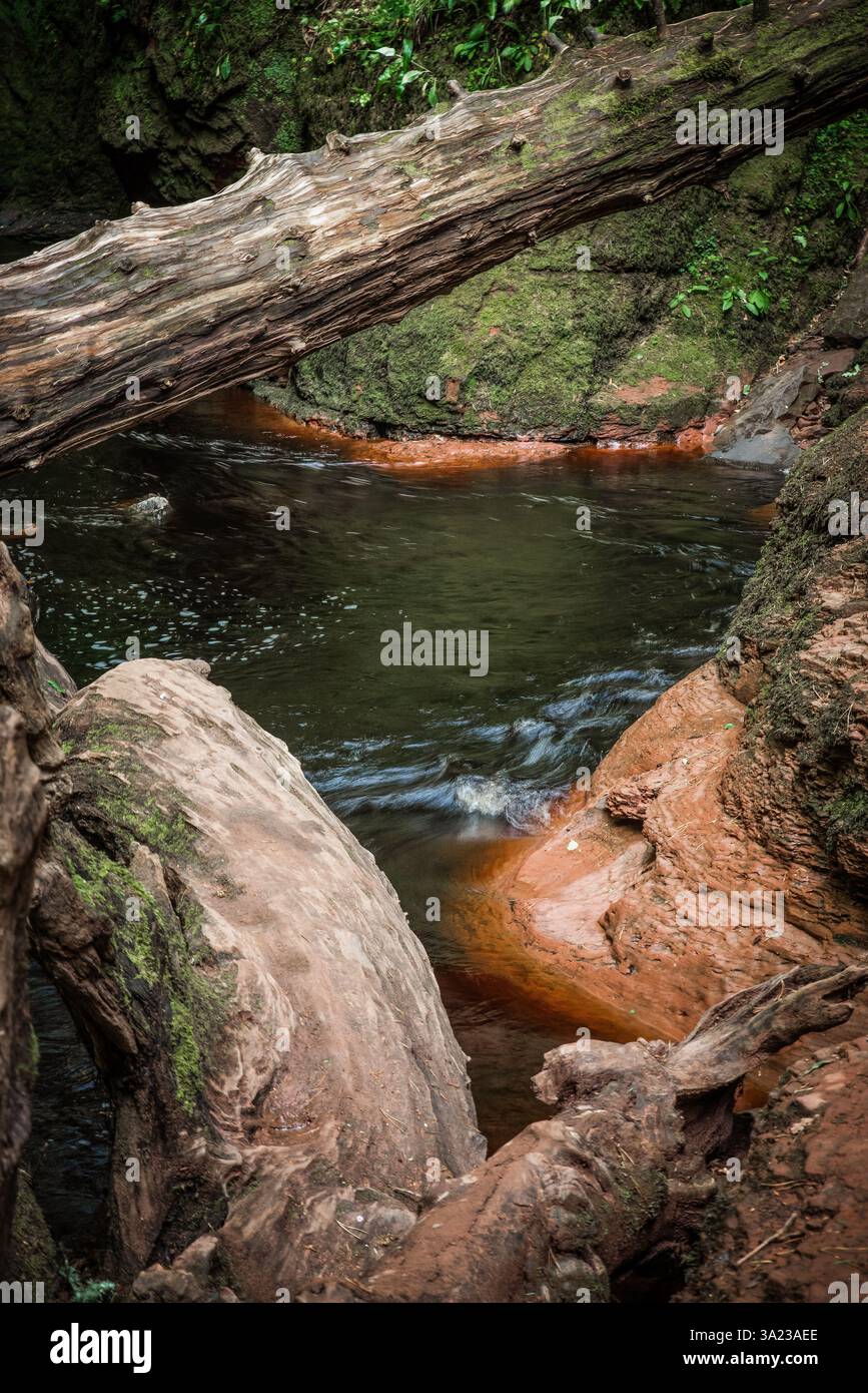 The Devil's pulpit gorge, near Loch Lomond, Scotland Stock Photo - Alamy
