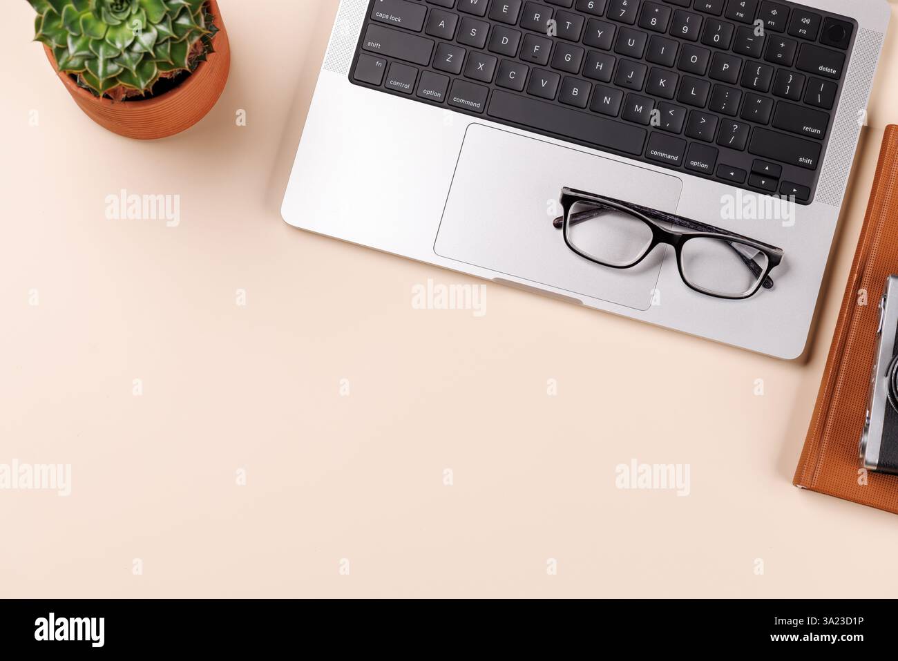 A clean and minimal desk setup featuring a laptop and plant, providing ...