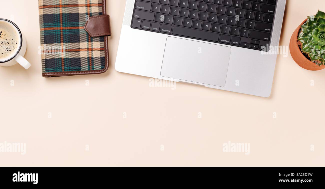 A clean and minimal desk setup featuring a laptop and plant, providing ...