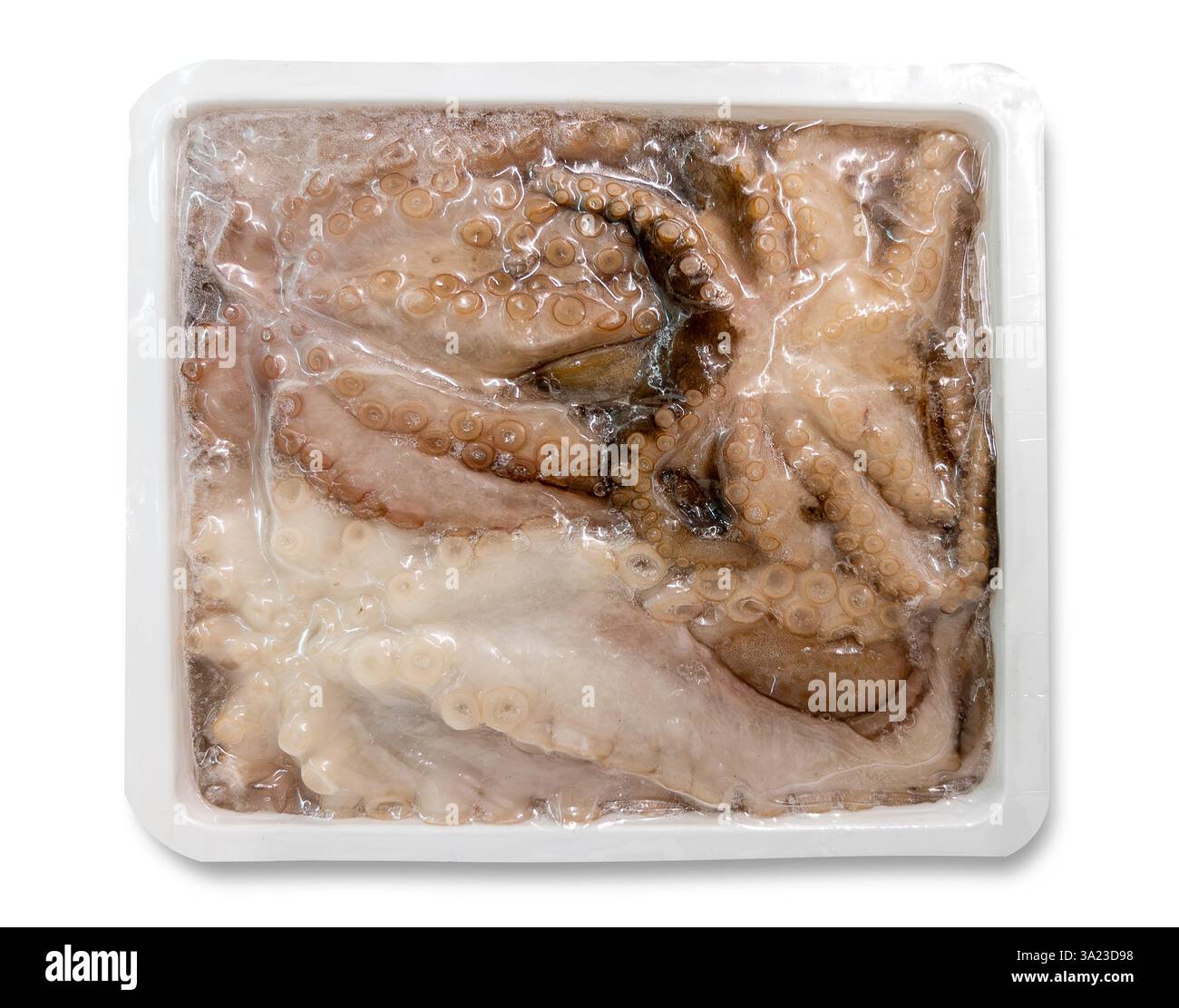Vacuum-sealed frozen octopus in white plastic tray, isolated on white ...