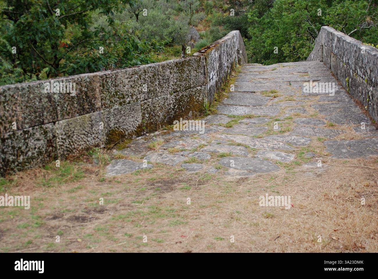 Granite block paving of the Romanesque bridge of Mizarela Stock Photo ...