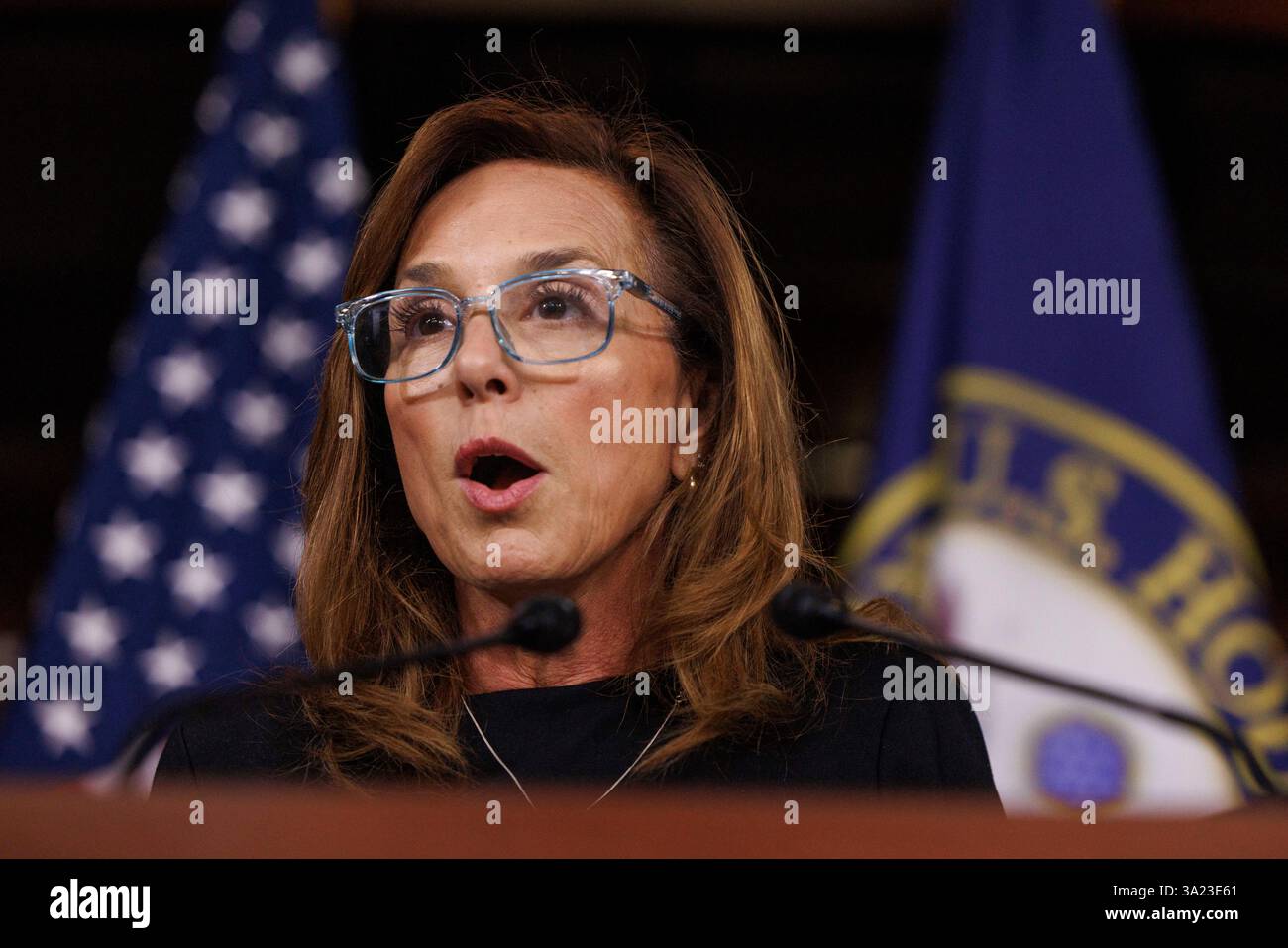 United States Representative Lisa C. McClain (Republican of Michigan ...