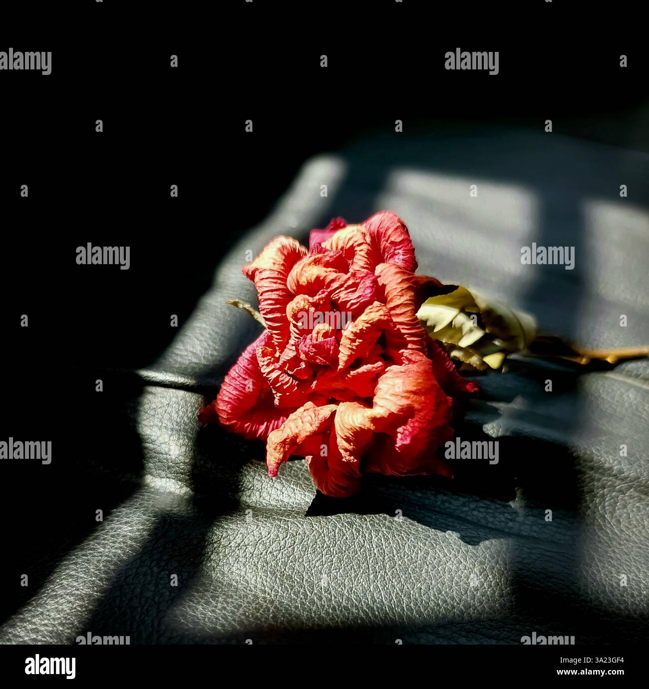 Color the sun hi-res stock photography and images - Alamy