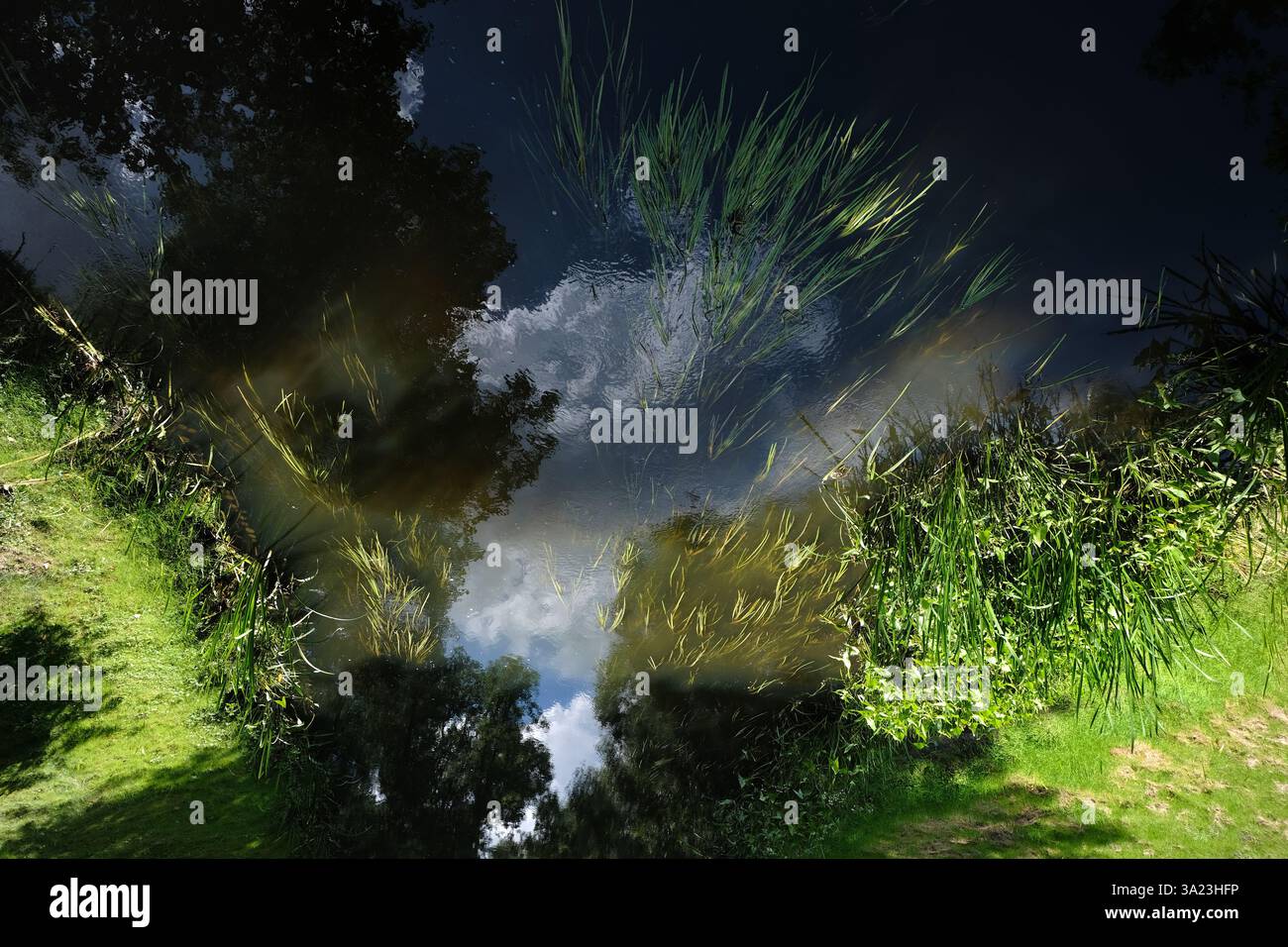 Nature background in the natural park around manor-house, representing ...