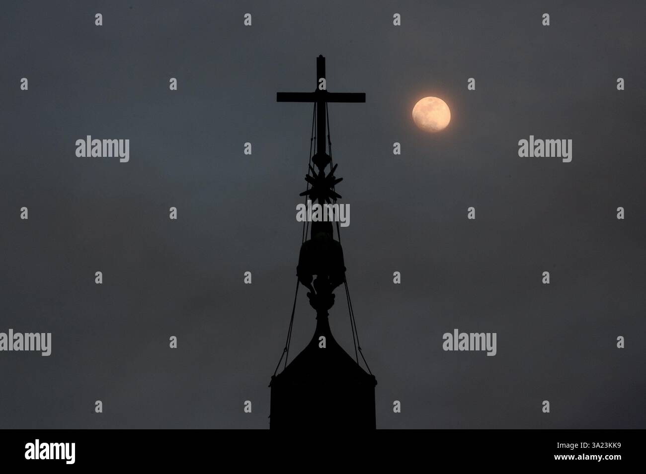 Vatican, Vat. 11th Mar, 2025. **NO LIBRI** Italy, Rome, Vatican, 2025/3 ...