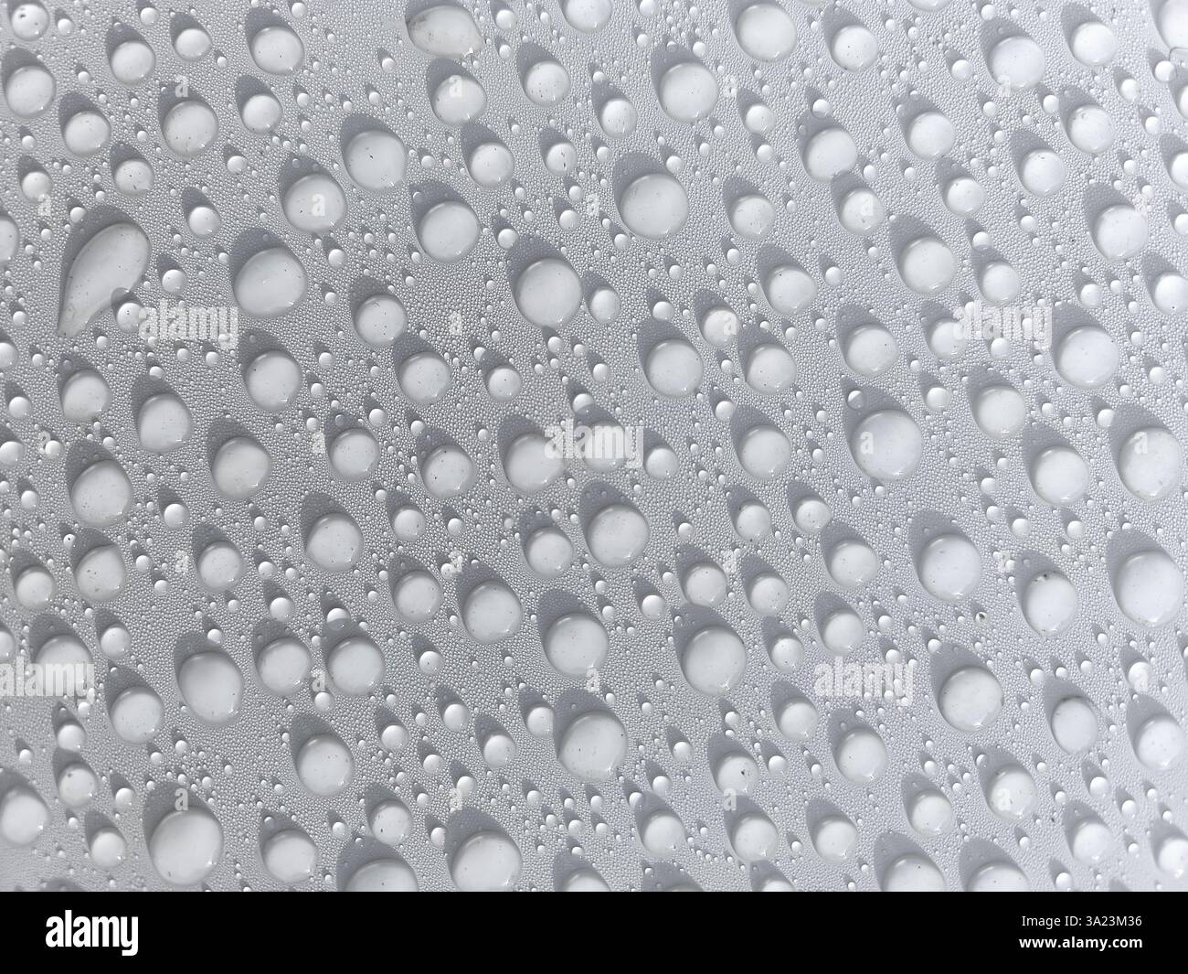 Transparent bubbles of morning water on a white background Stock Photo ...
