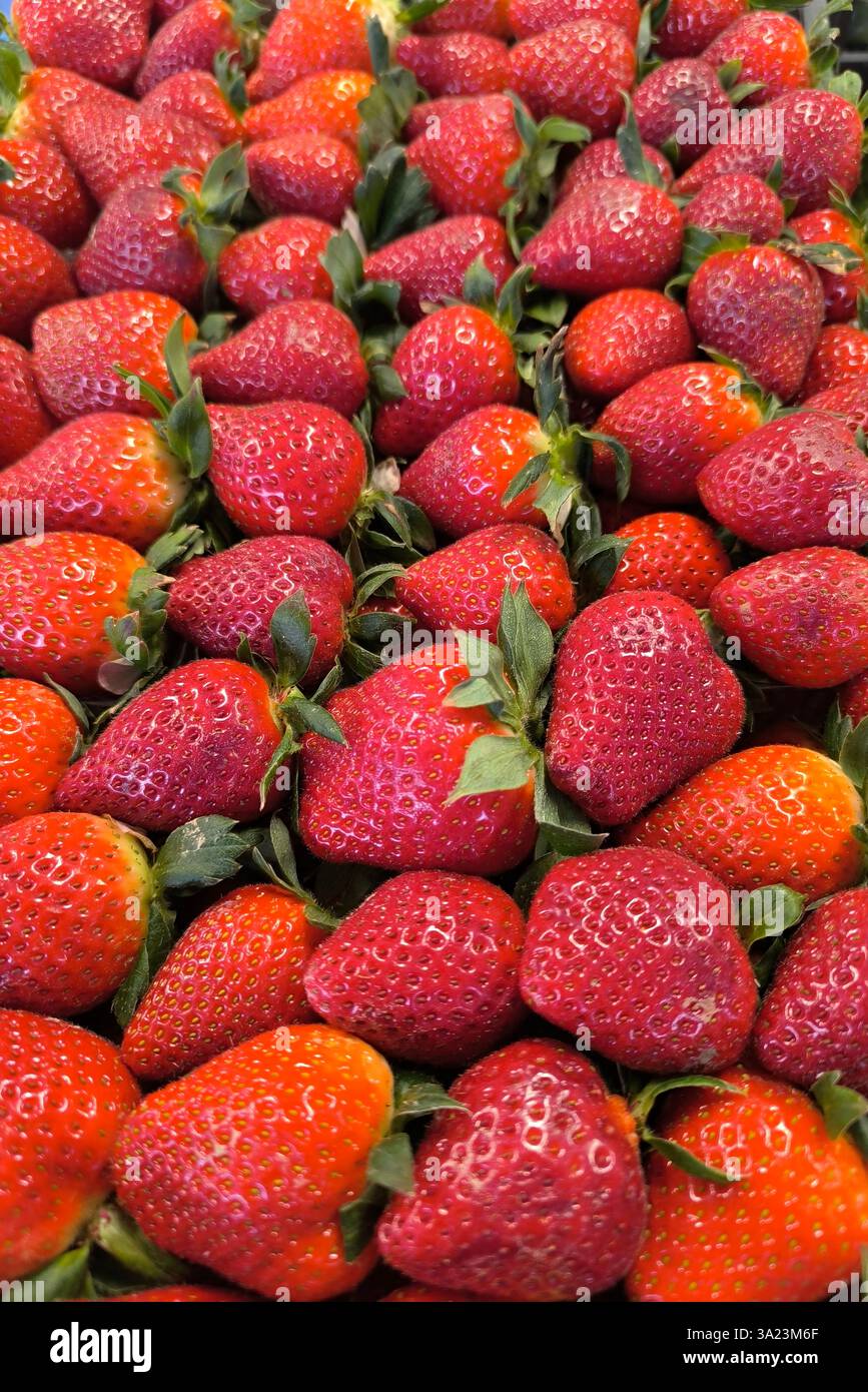Strawberries. Background from fresh strawberries, Red strawberries ...