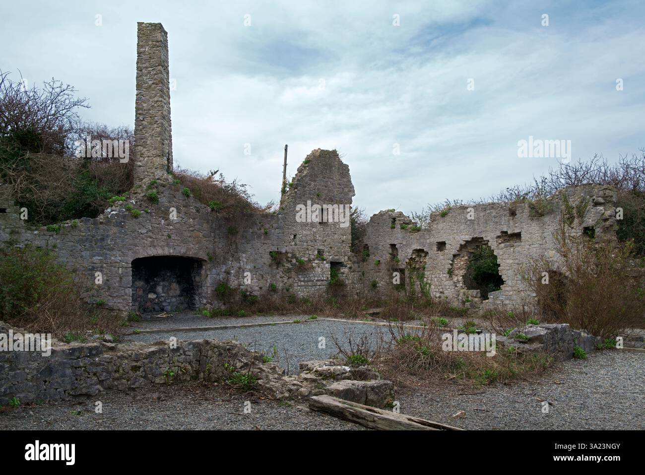 Ancestor of owen tudor hi-res stock photography and images - Alamy