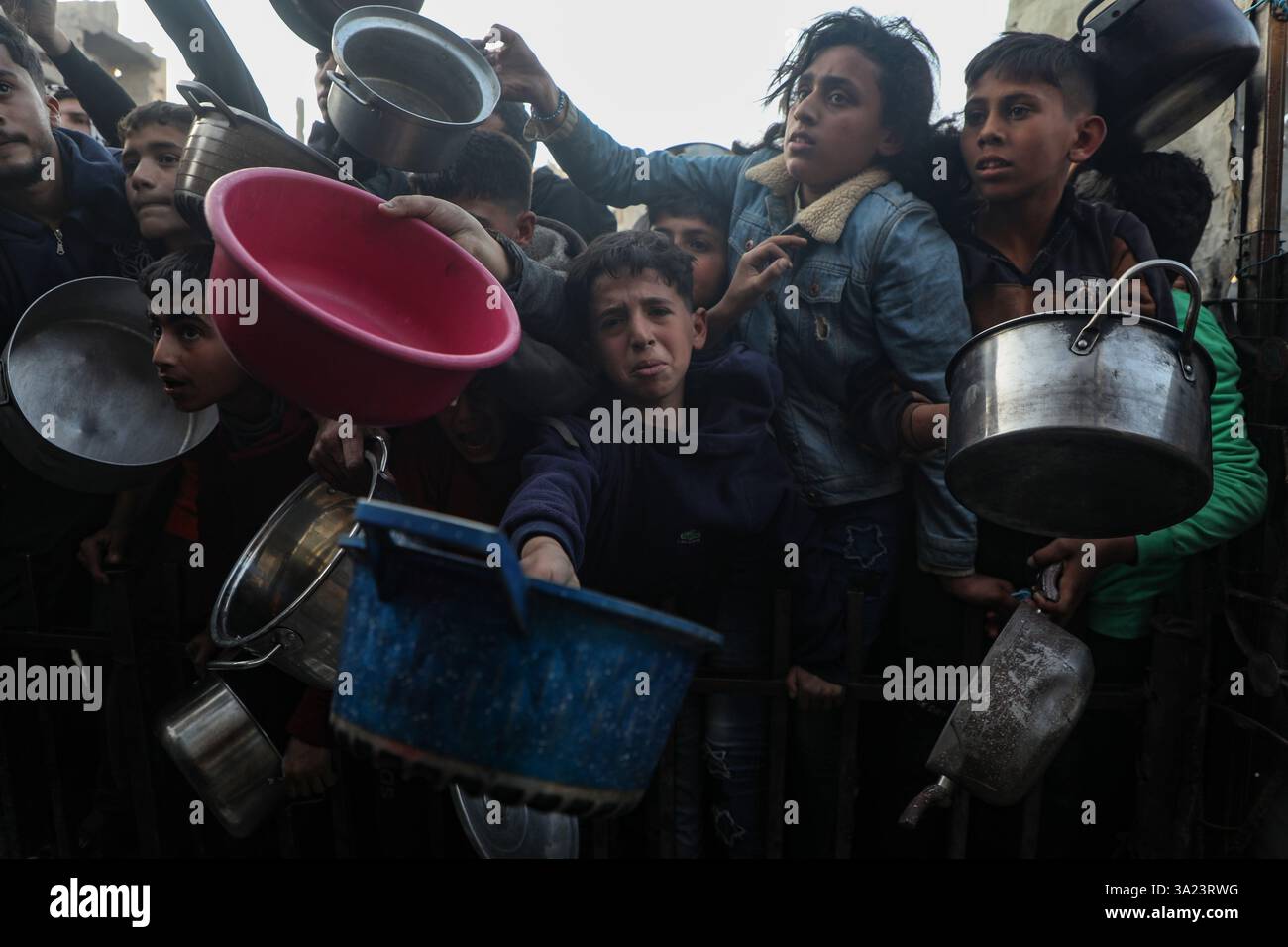 (250311) -- JABALIA, March 11, 2025 (Xinhua) -- People try to get food ...