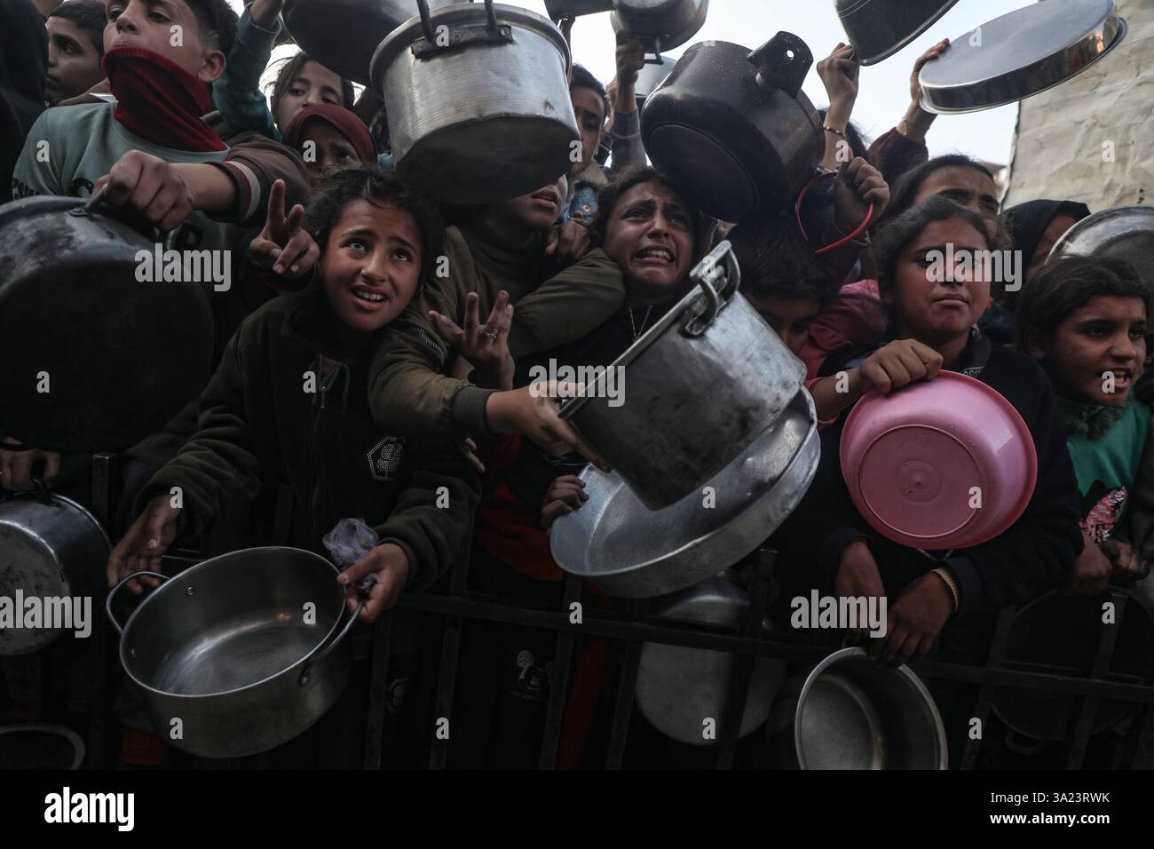 (250311) -- JABALIA, March 11, 2025 (Xinhua) -- People try to get food ...