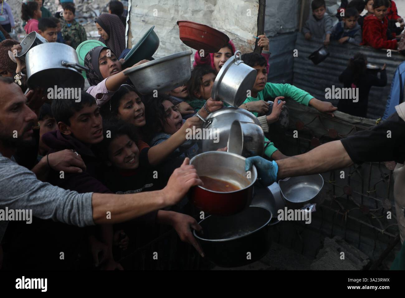 (250311) -- JABALIA, March 11, 2025 (Xinhua) -- People try to get food ...