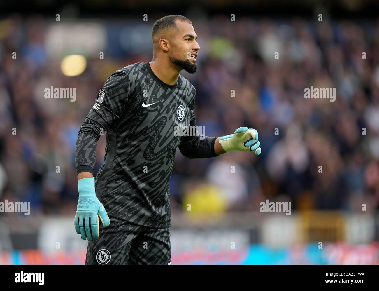 Chelsea's Robert Sanchez during the Premier League match at Molineux ...