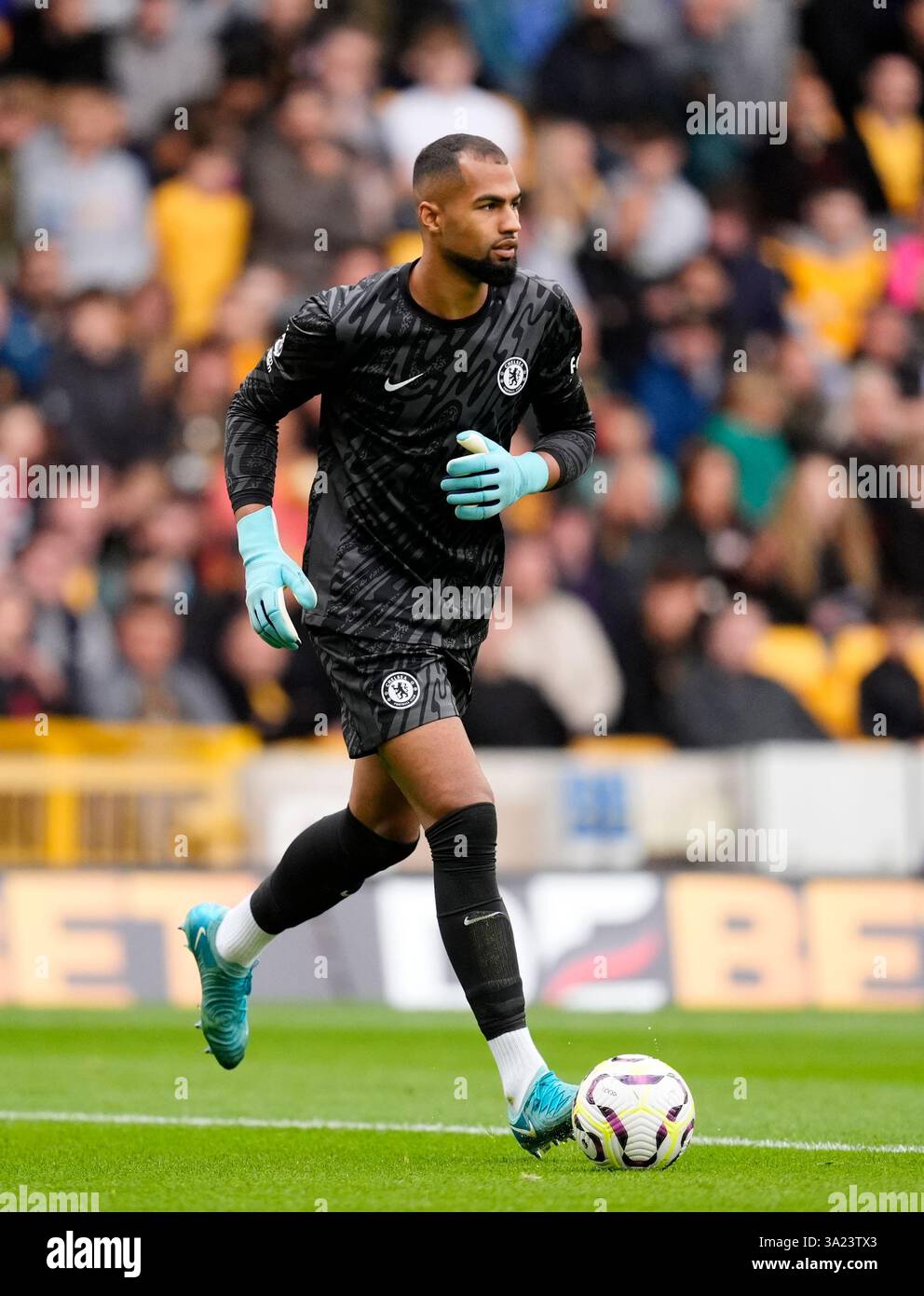 Chelsea's Robert Sanchez during the Premier League match at Molineux ...