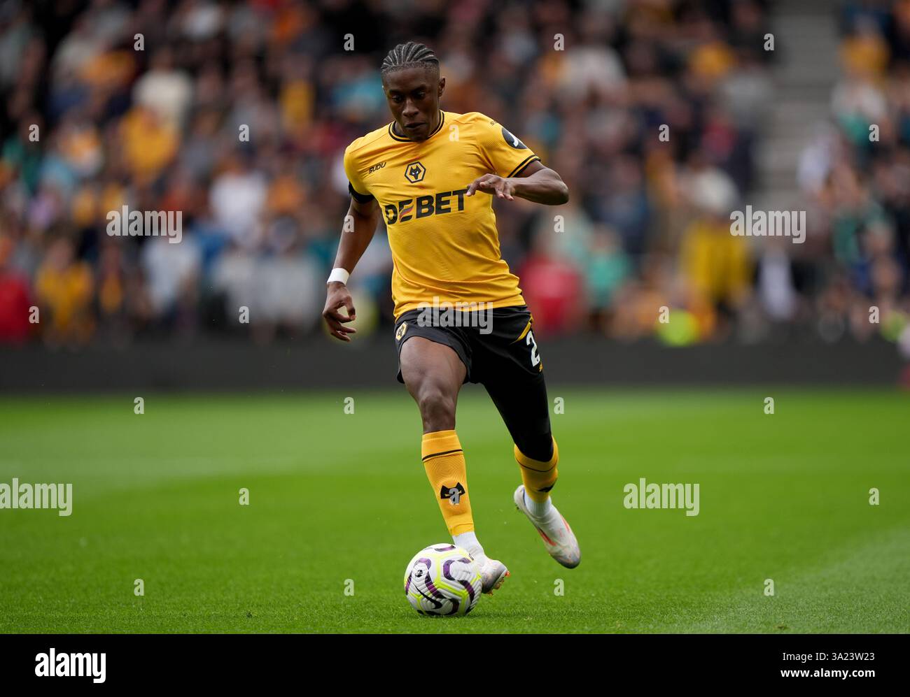 Wolverhampton Wanderers' Jean-Ricner Bellegarde during the Premier ...