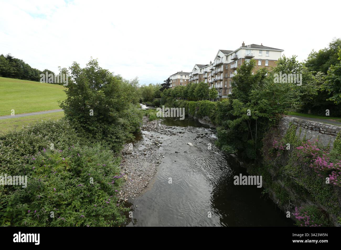 Dublin, Ireland - 29th June 2014 - The River Dodder with overgrown and ...