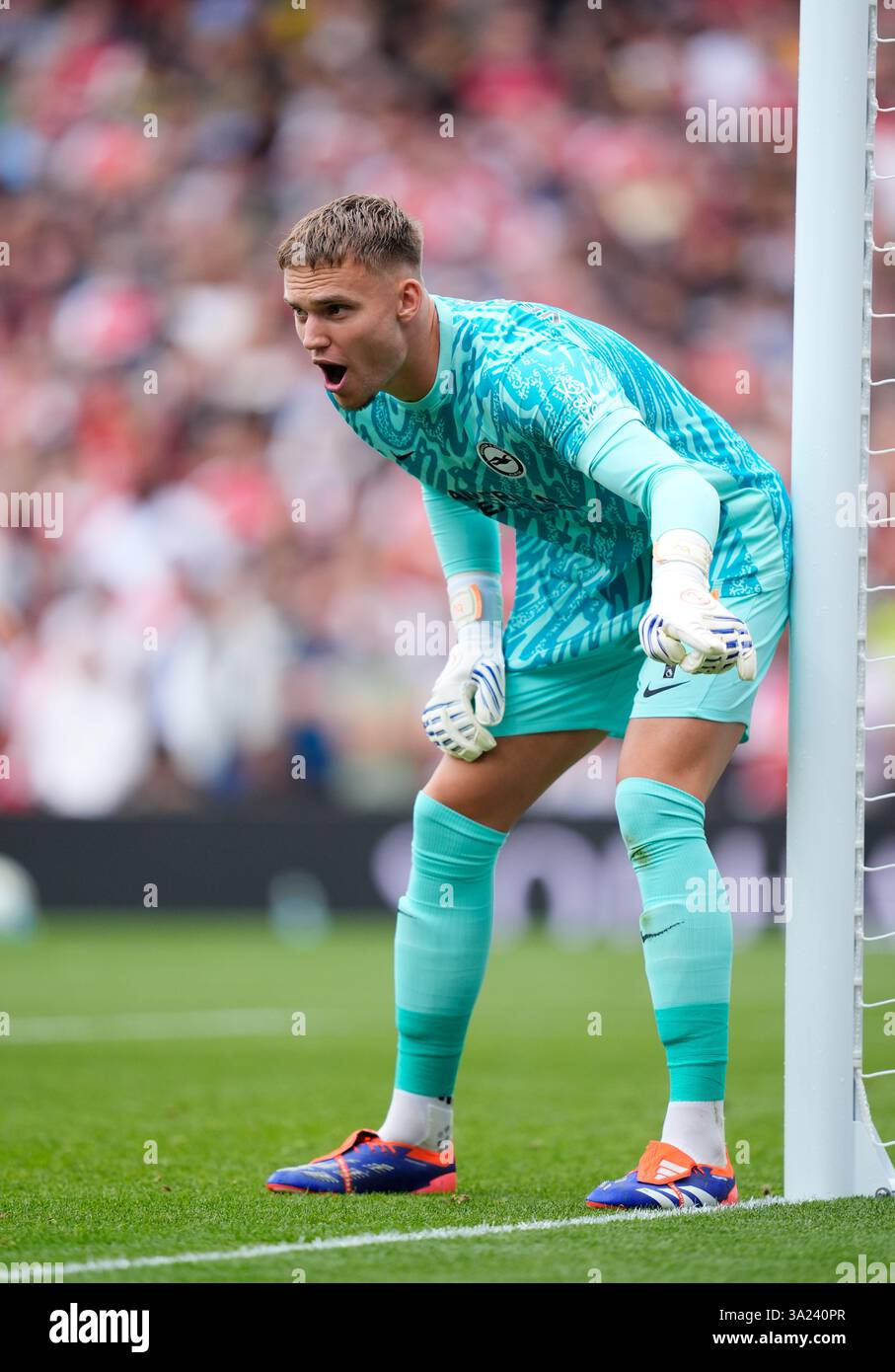 Brighton & Hove Albion's Bart Verbruggen during the Premier League ...