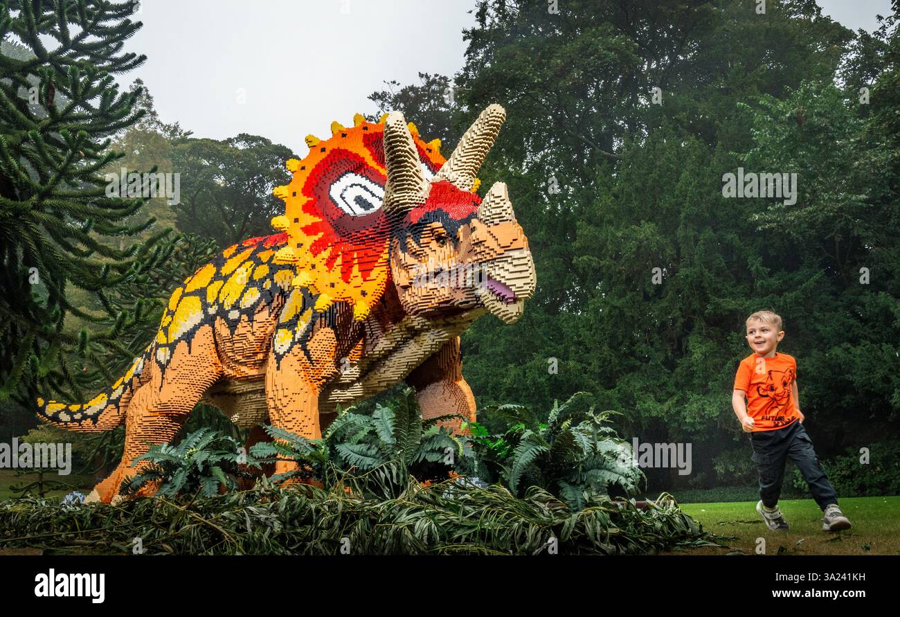 Henry Horner plays next to a Triceratops made of 149,542 bricks, that ...