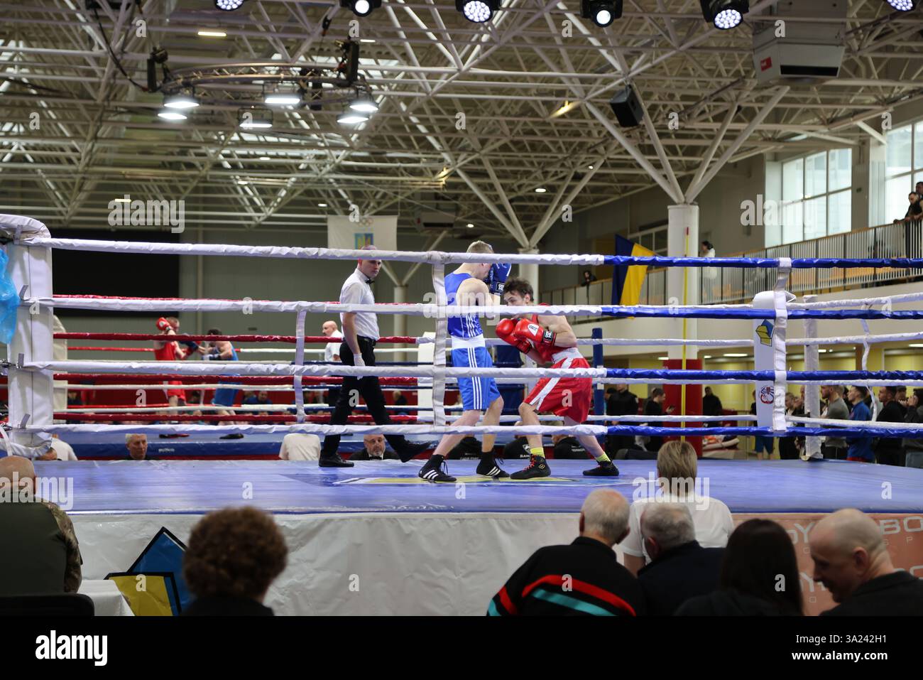 ODESSA, UKRAINE - March 10, 2025: Ukrainian Boxing Cup among men and ...