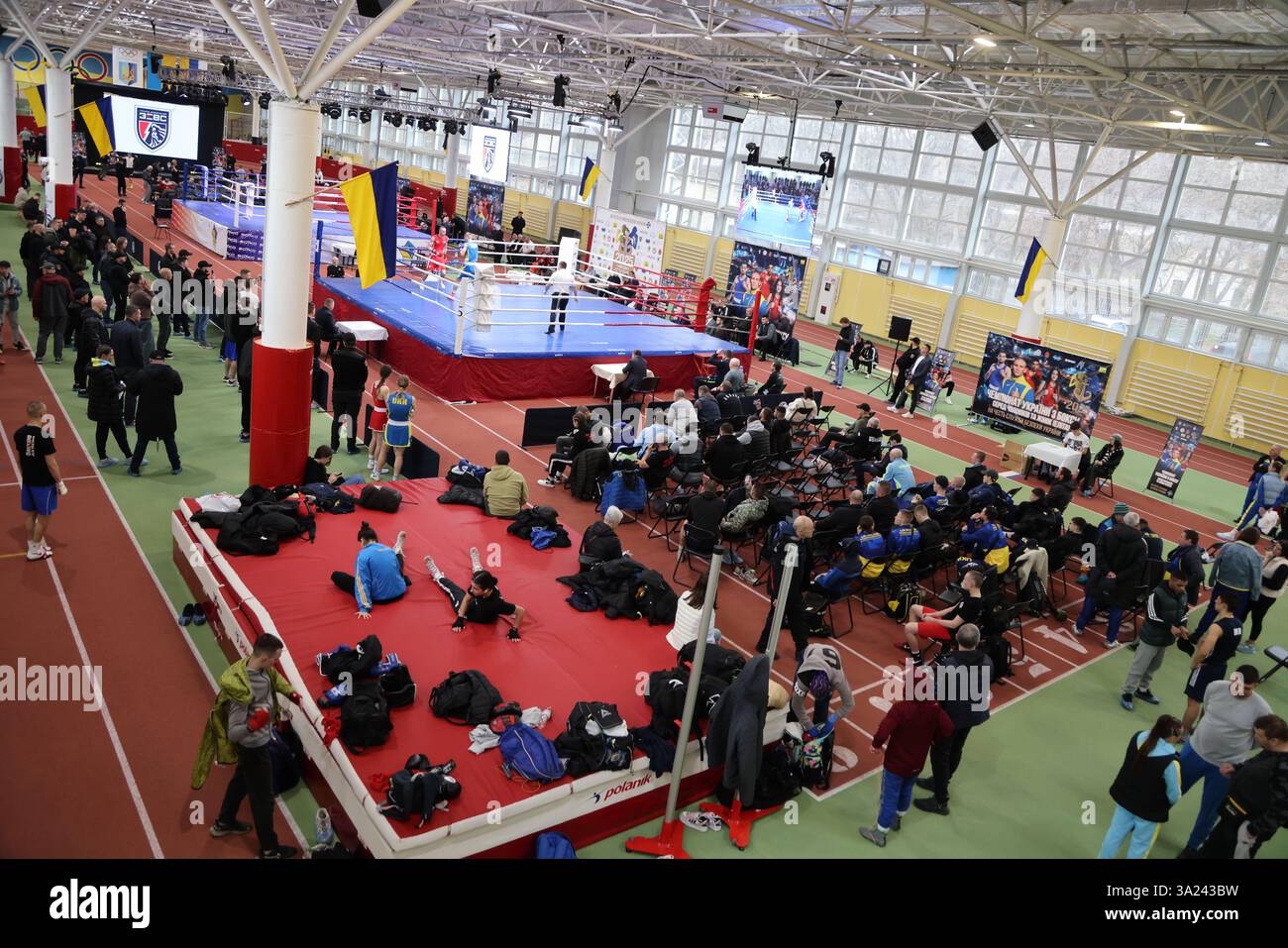 ODESSA, UKRAINE - March 10, 2025: Ukrainian Boxing Cup among men and ...