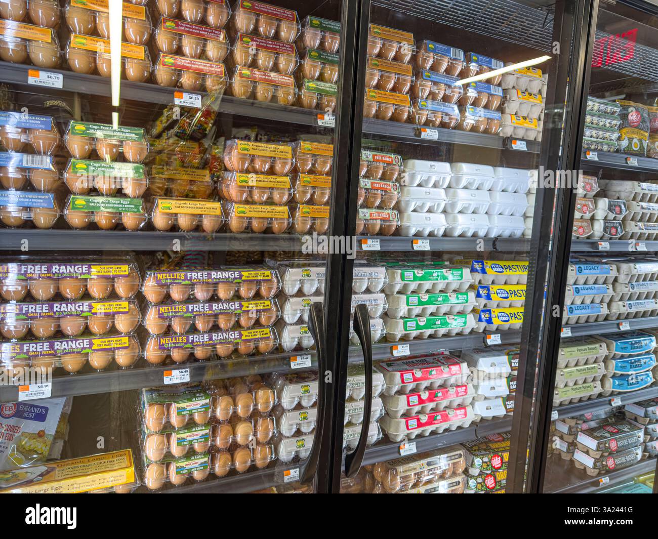 Eggs display in grocery store Stock Photo - Alamy