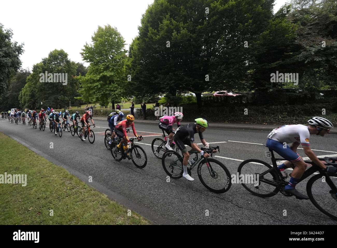 The peloton go past Conisbrough Castle in Doncaster during stage three ...