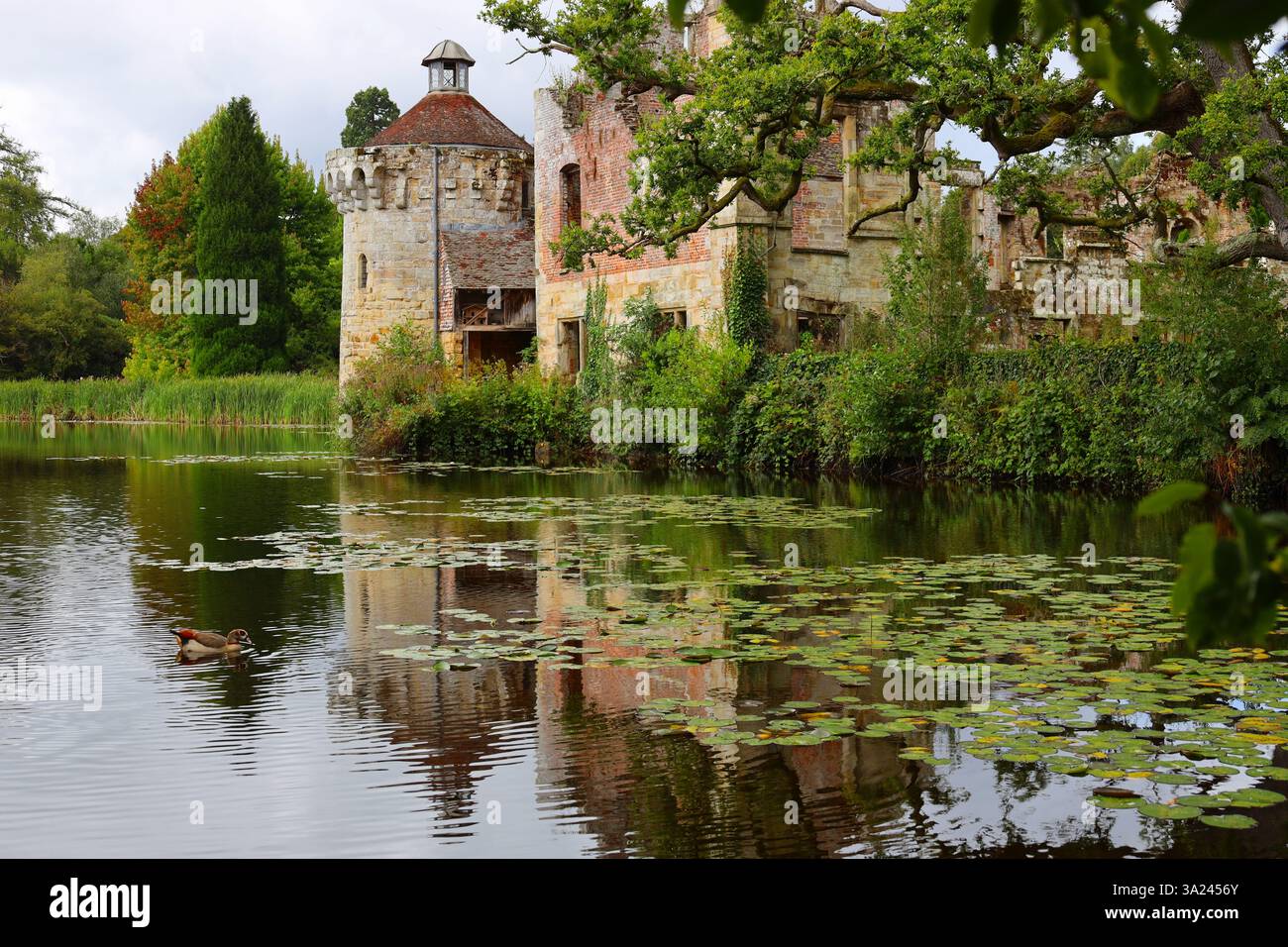 Chartwell, Kent, England, United Kingdom Stock Photo - Alamy