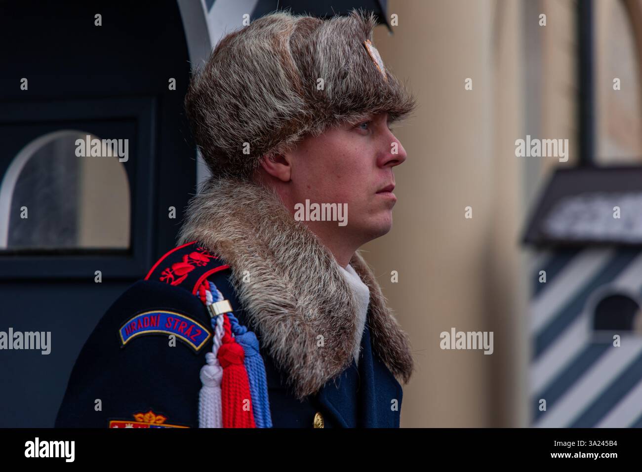 02-21-2025, Prague, Presidential guard standing resolutely in winter ...