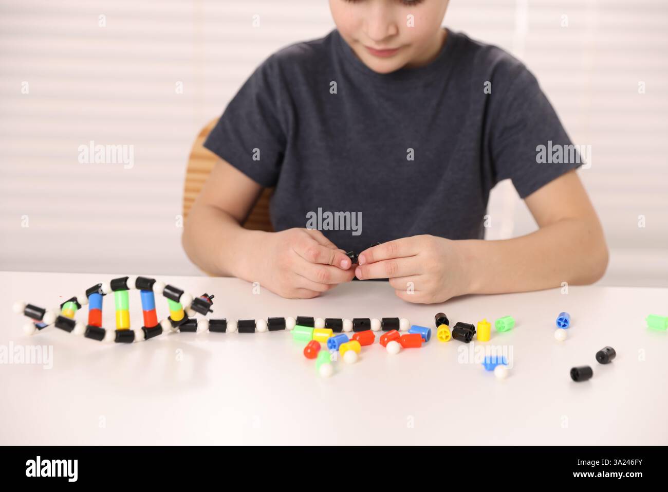 Boy making DNA structure model at desk indoors, closeup Stock Photo - Alamy