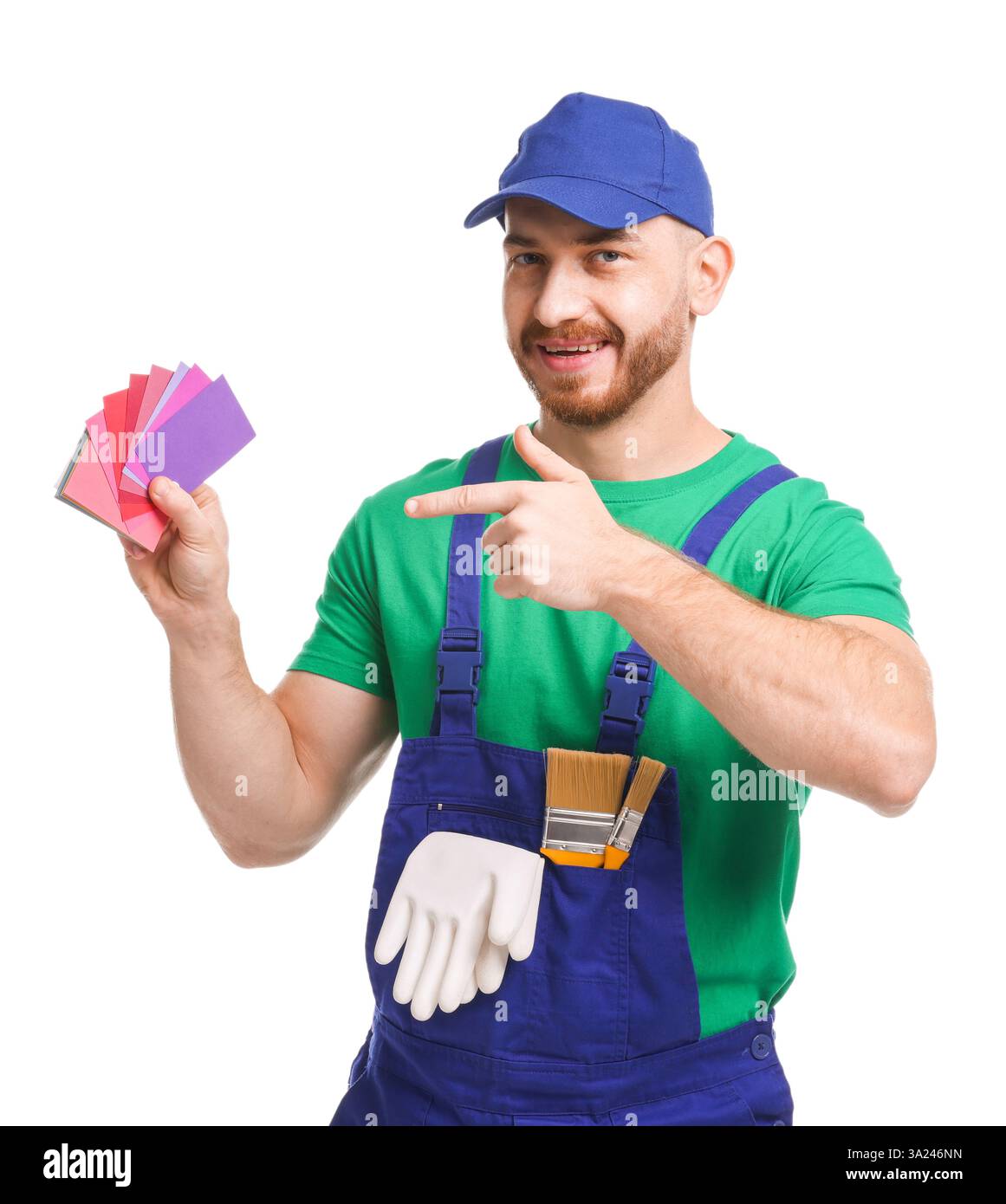 Professional painter showing color samples on white background Stock ...