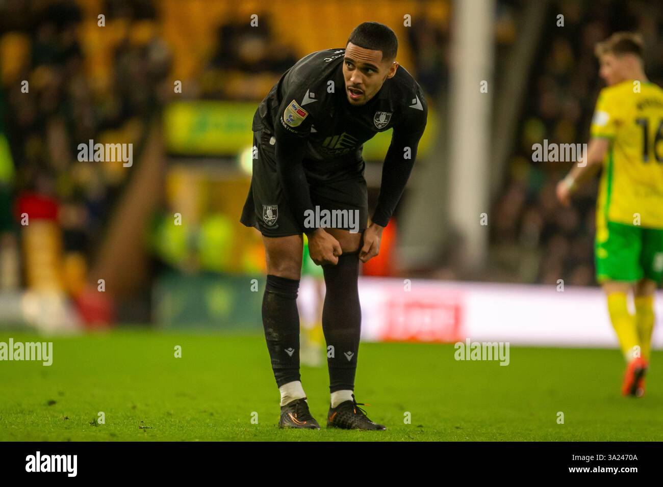 Max Lowe of Sheffield Wednesday during the Sky Bet Championship match ...