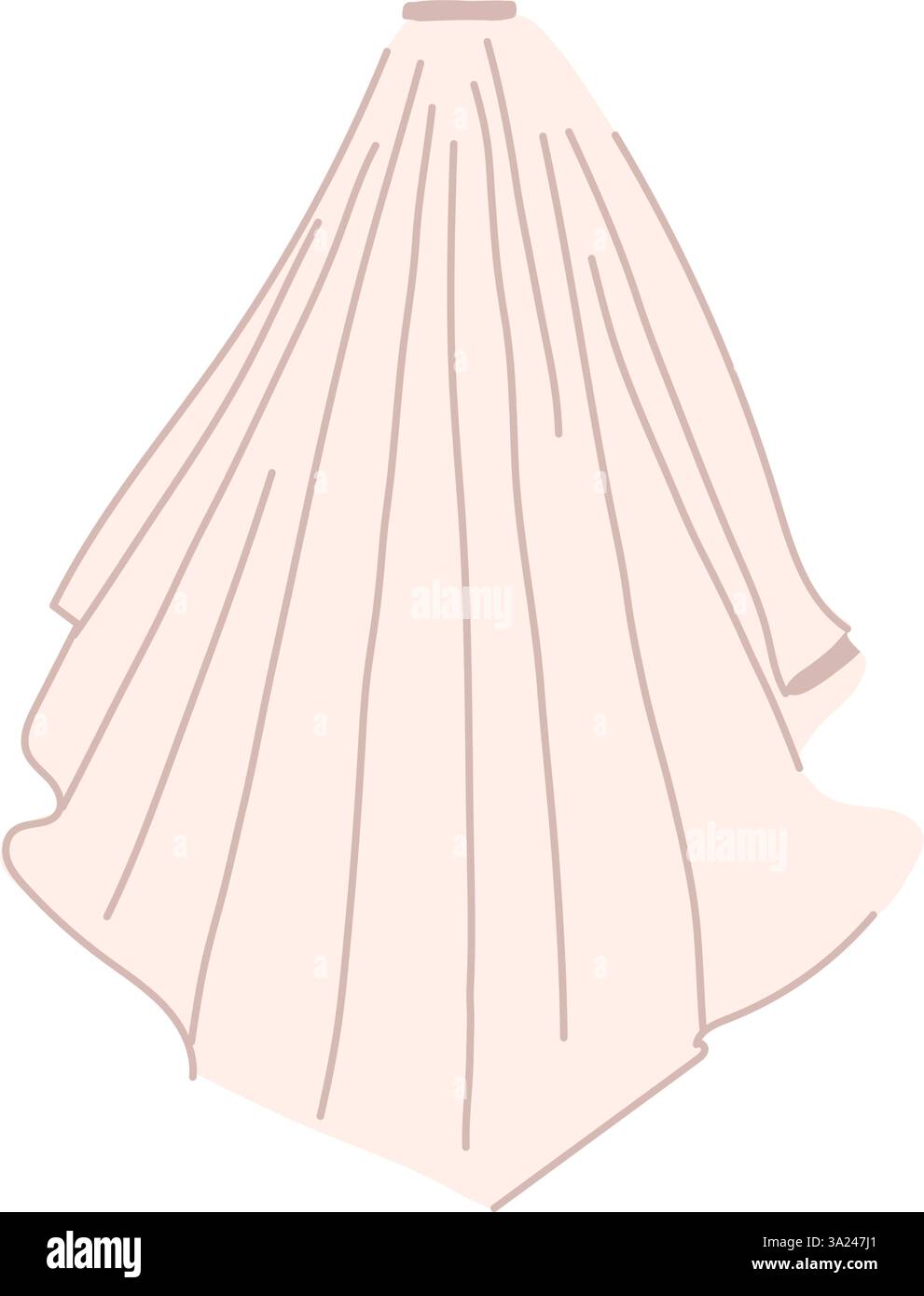 cathedral veil bridal cartoon vector illustration Stock Vector Image ...