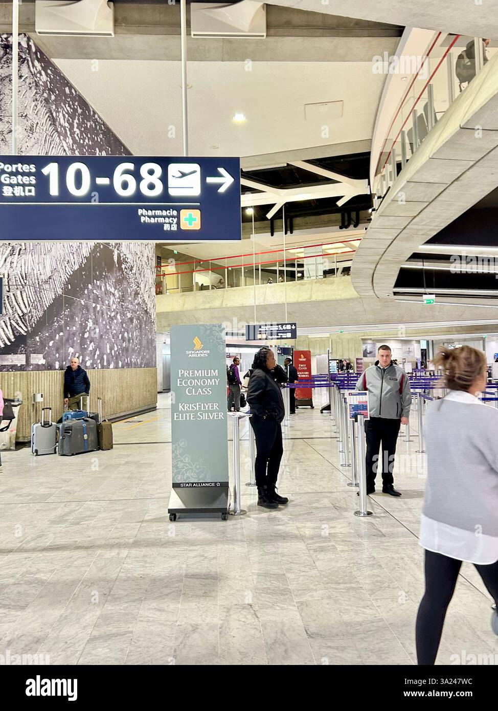 Roissy Airport, Paris, France, People, Tourists, traveling inside hall ...