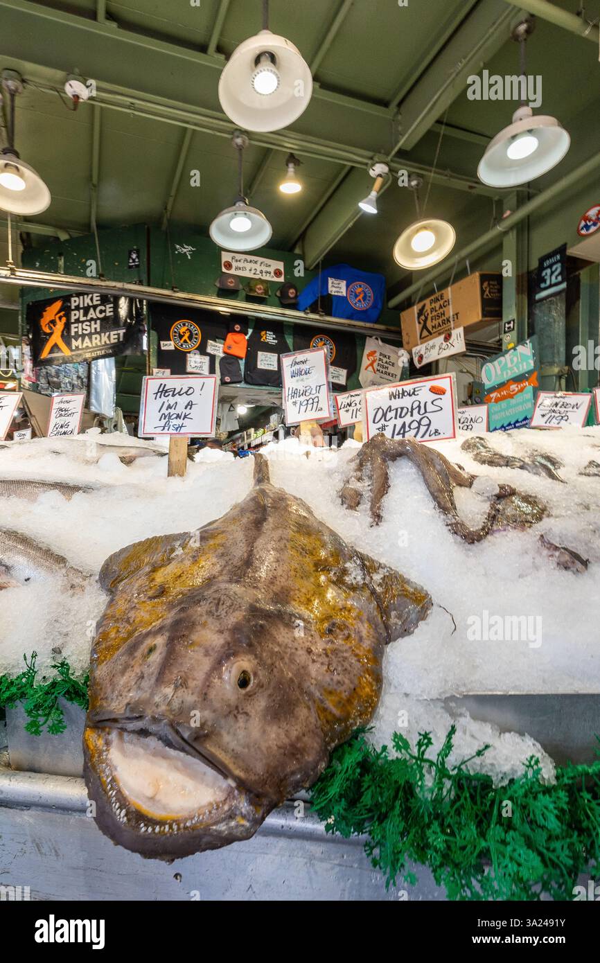 At Pike Place Fish Market, a Monkfish is on display, hoping to be ...