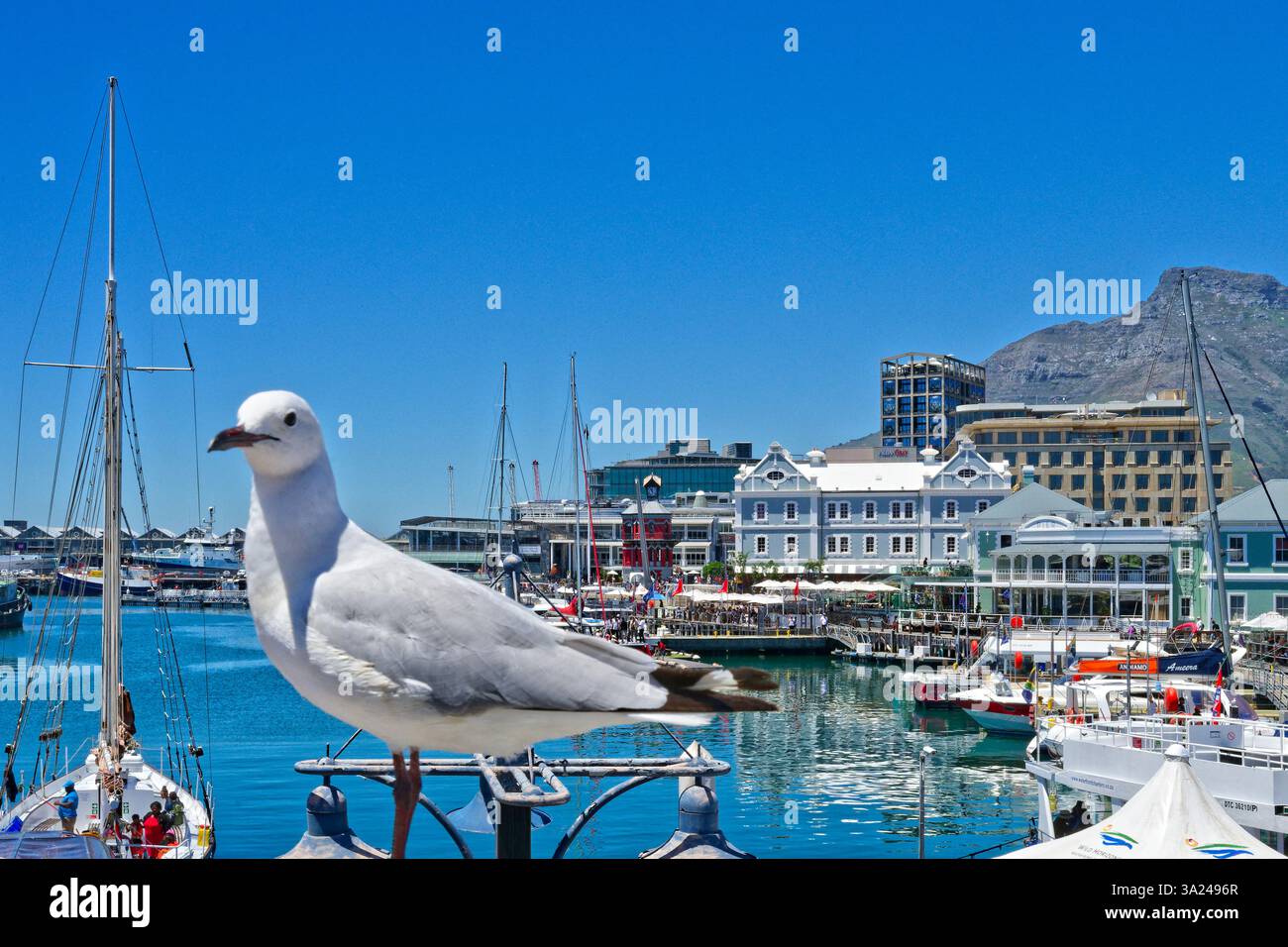 Harbour complex, Old Port Captain's Building, Victoria & Alfred ...