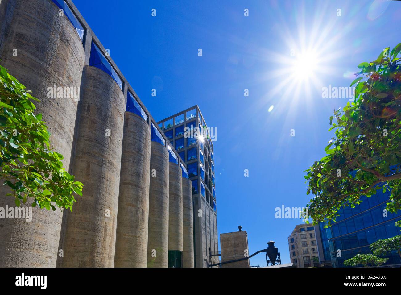 Zeitz Museum of Contemporary Art Africa in a converted grain silo ...